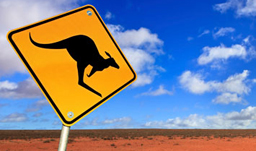 Kangaroo Road Sign 92003875 | Trip Sense | tripcentral.ca