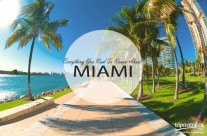 Everything You Need To Know About Miami | Trip Sense | tripcentral.ca