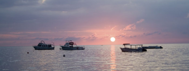 Everything You Need to Know About Montego Bay | Trip Sense | tripcentral.ca