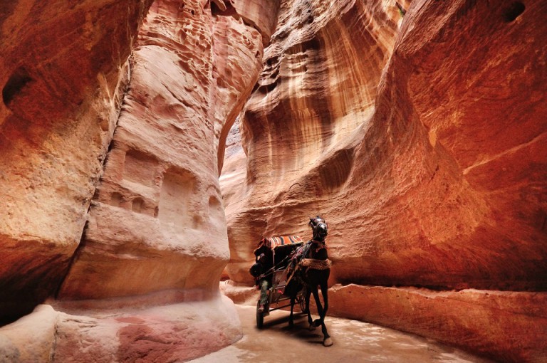 Adventure Addict | Trip Sense | tripcentral.ca