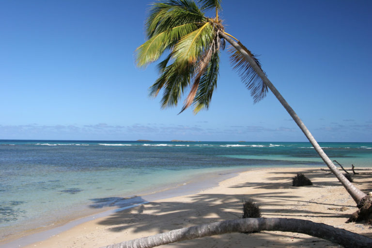 Samana Travel Guide: Dominican Republic’s Best Kept Secret | Trip Sense ...